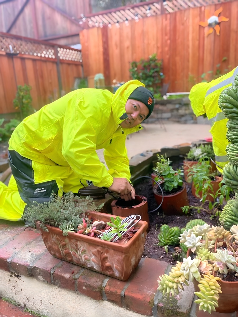 Residential Landscape Maintenance San Francisco | Arborist Now